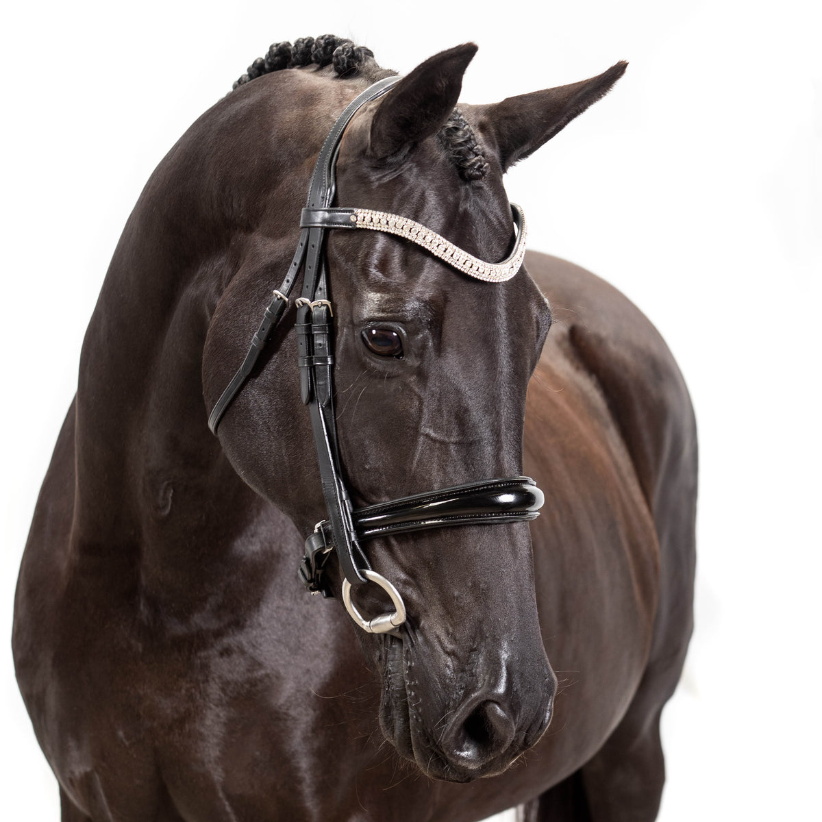 English Horse Bridles | Complete Bridles