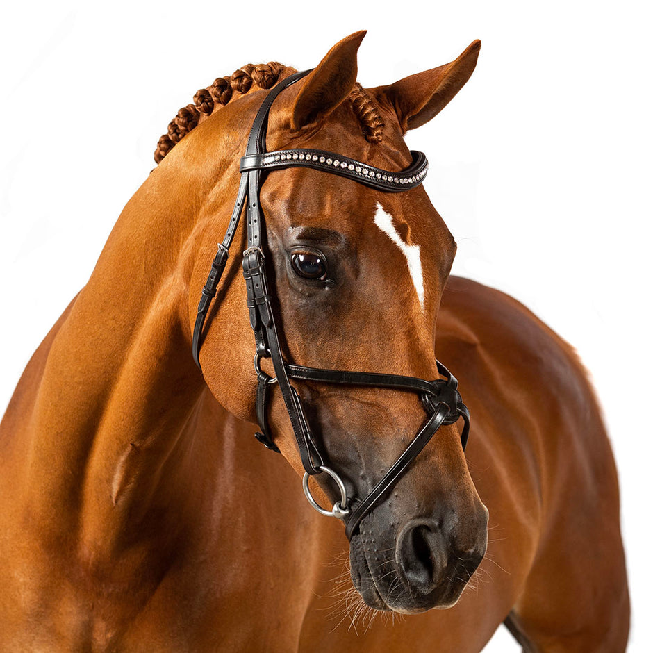 English Horse Bridles | Complete Bridles